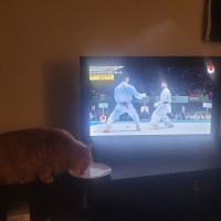 MY BOOKS FOR SALE – Nicholas K F Matte